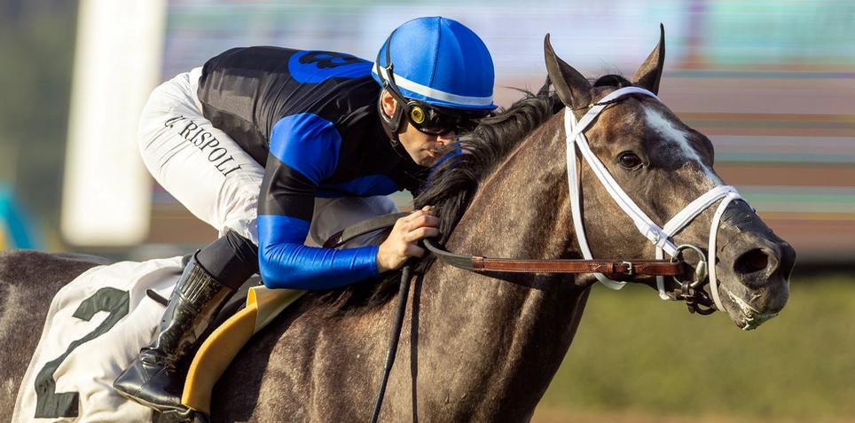 Horse Racing Best Bets for Friday 1/12/24 | FanDuel Research