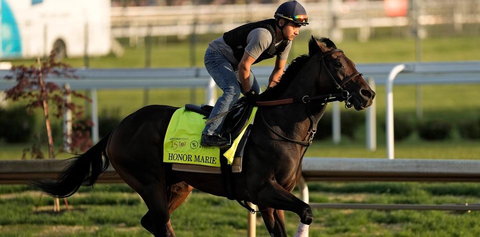 Honor Marie: Kentucky Derby Horse Odds, History and Prediction ...