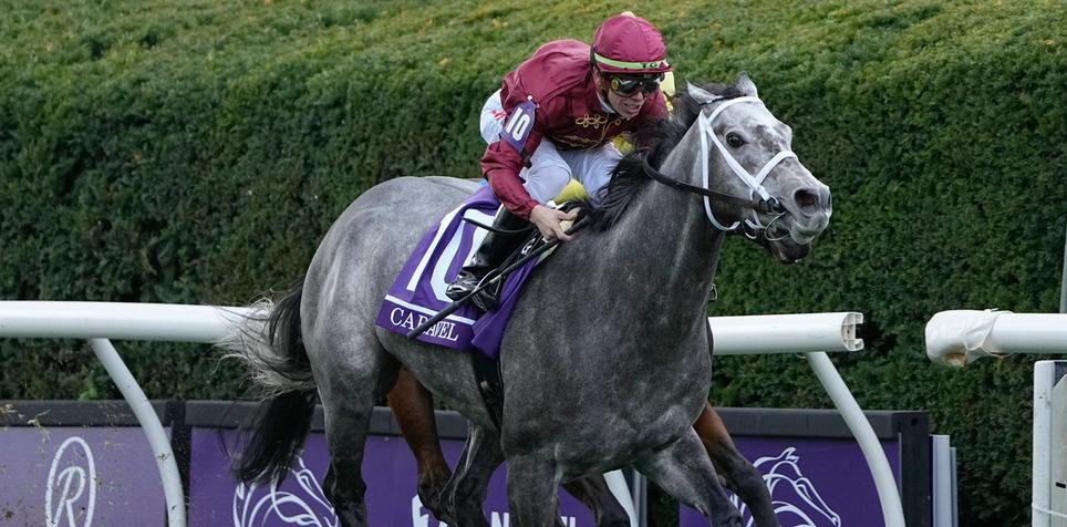 Expert Blue Grass Stakes Horse Racing Picks for Saturday 4/6/24 ...