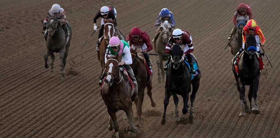 2024 Gulfstream Park Mile Stakes Betting Odds and Contenders Preview ...