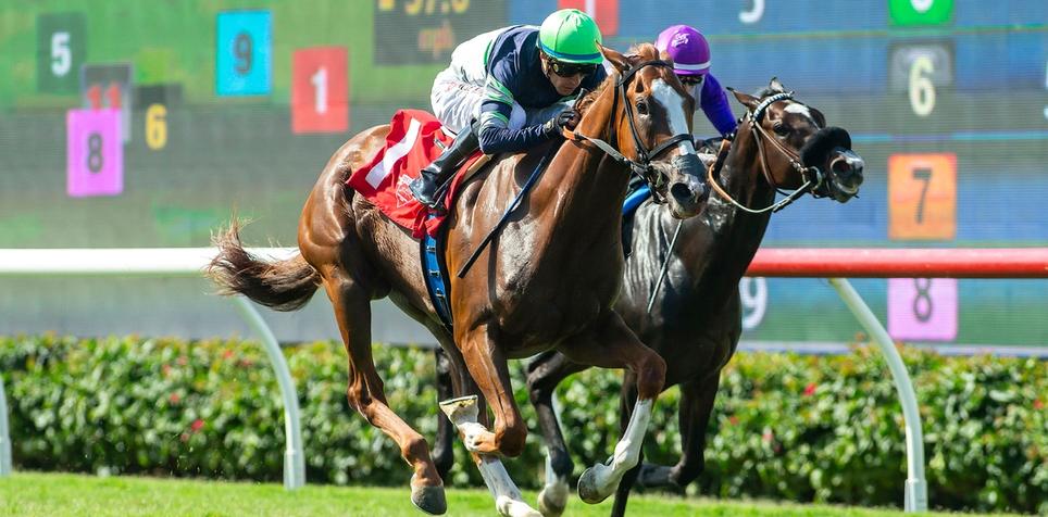 Horse Racing Best Bets for Friday 9/15/23 | FanDuel Research