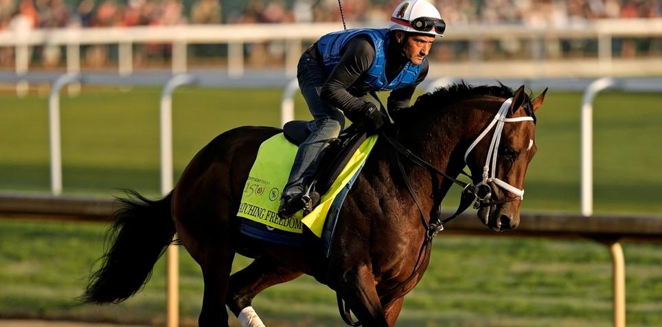 Catching Freedom: Preakness Stakes Horse Odds, History and Prediction ...