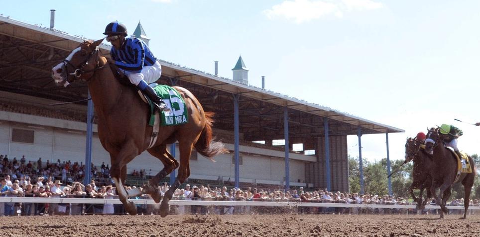 Horse Racing Best Bets for Tuesday 8/8/23 | FanDuel Research