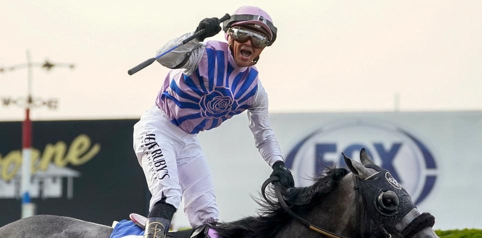 zebra racing colonial downs