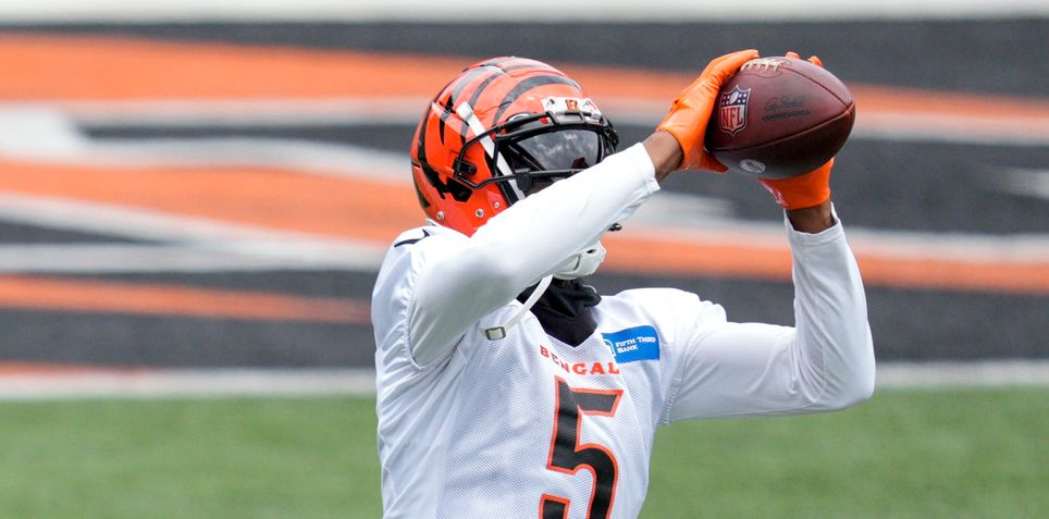 Tee Higgins Fantasy Football Outlook and Projection for 2023 | FanDuel ...