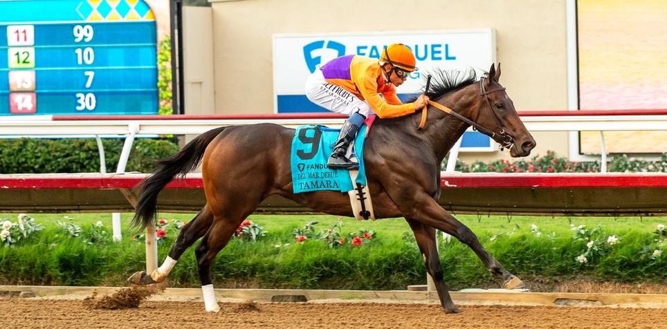 Horse Racing Best Bets for Thursday 9/14/23 | FanDuel Research