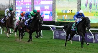 Breeders' Cup Turf Contenders | FanDuel Research