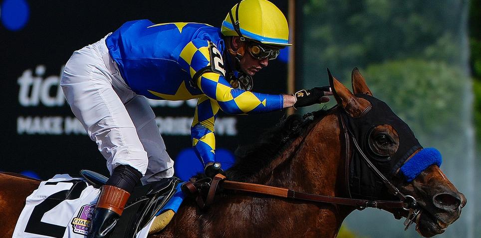2024 Forego Stakes Preview | FanDuel Research