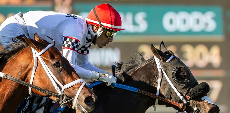 Horse Racing Best Bets for Wednesday 10/11/23 | FanDuel Research
