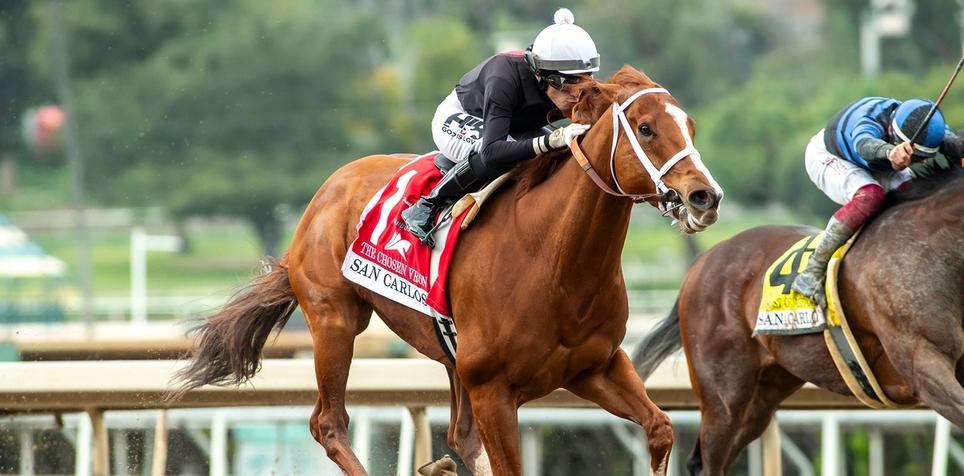 Horse Racing Best Bets for Wednesday 3/20/24 | FanDuel Research