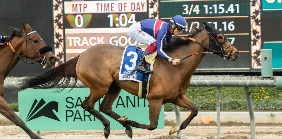 Horse Racing Best Bets for Tuesday 1/9/24 | FanDuel Research