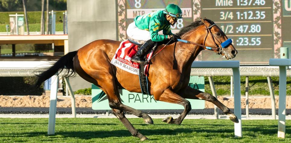 Horse Racing Best Bets for Friday 2/16/24 | FanDuel Research
