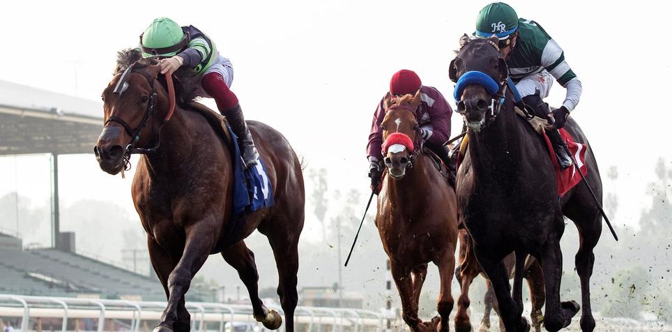Horse Racing Best Bets for Friday 2/23/24 | FanDuel Research