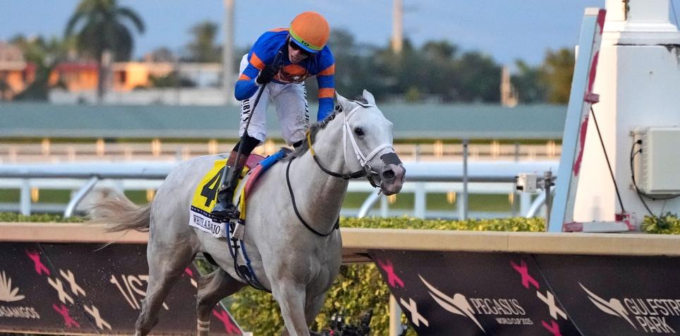 Fair Grounds Race Course Horse Racing Picks for Saturday, 3/22/25 ...