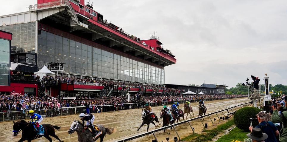 Preakness Heart of Honor Odds, History and Predictions | FanDuel Research