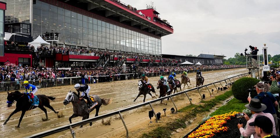 2026 Preakness Contenders: Form, Horse Pedigree, and Laurel Fit for All ...
