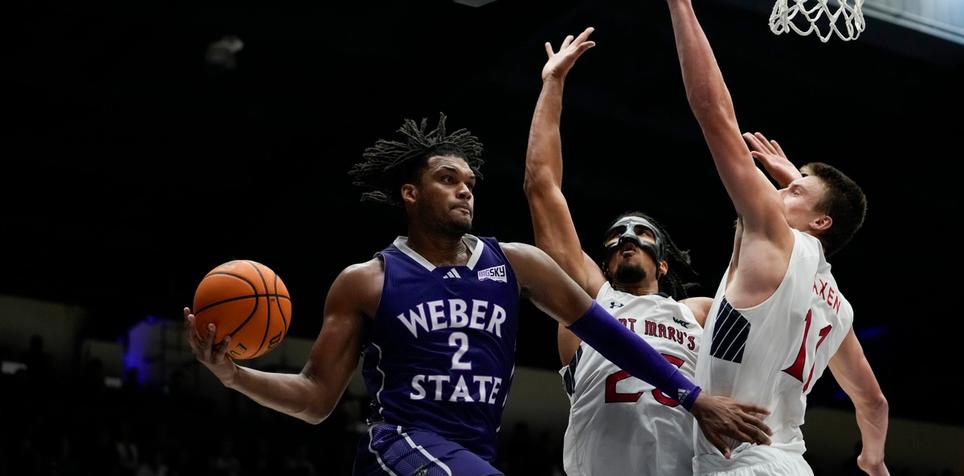 Weber State vs Montana State Basketball Prediction, Best Bets, Spread ...