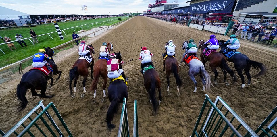 2026 Preakness Stakes Free Printable Sheet: List of Horses, Odds, and ...