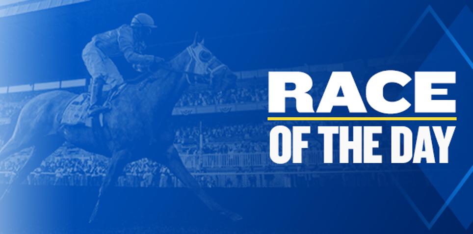 FanDuel Horse Racing Promo: Money Back Special for Win Bets on Race of ...