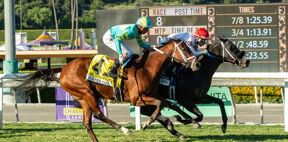 Horse Racing Best Bets for Tuesday 10/10/23 | FanDuel Research