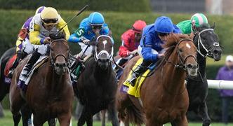 Breeders' Cup Mile Contenders | FanDuel Research