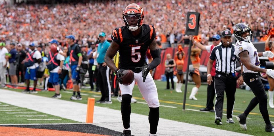 Tee Higgins Fantasy Football Outlook 2024 | FanDuel Research