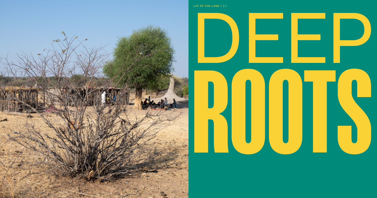 Deep Roots - Africa Climate Mobility Initiative - Climate-forced ...