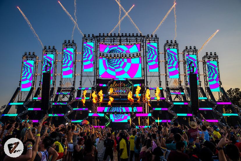 The Evolution of Electric Zoo | Gray Area
