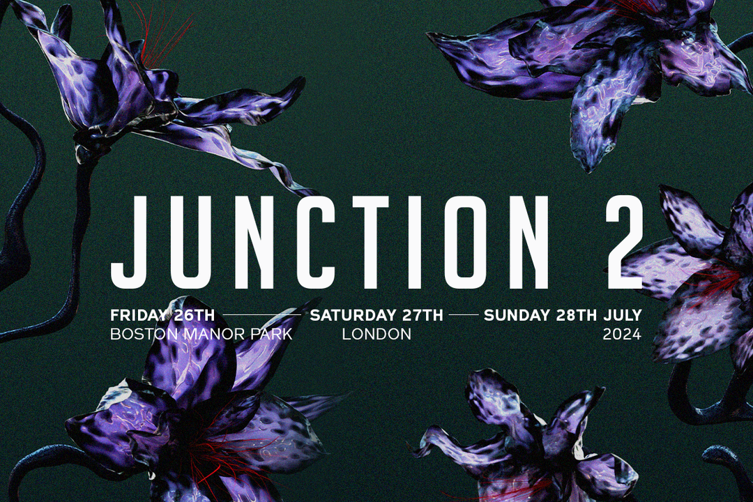 Junction 2 2024 at Boston Manor Park | Gray Area