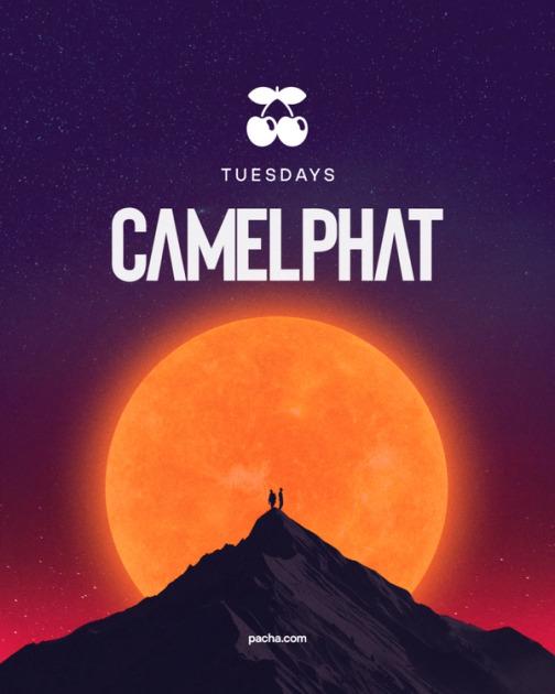 Camelphat at Pacha Ibiza | Gray Area