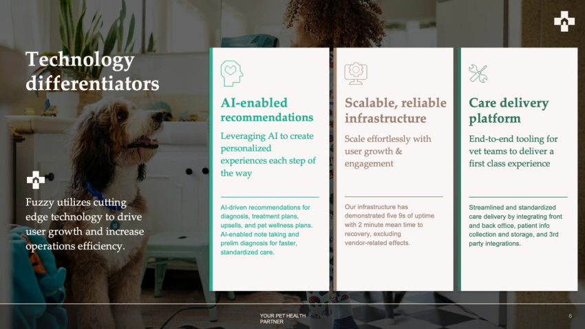 Example 5-year vision & strategy at Fuzzy