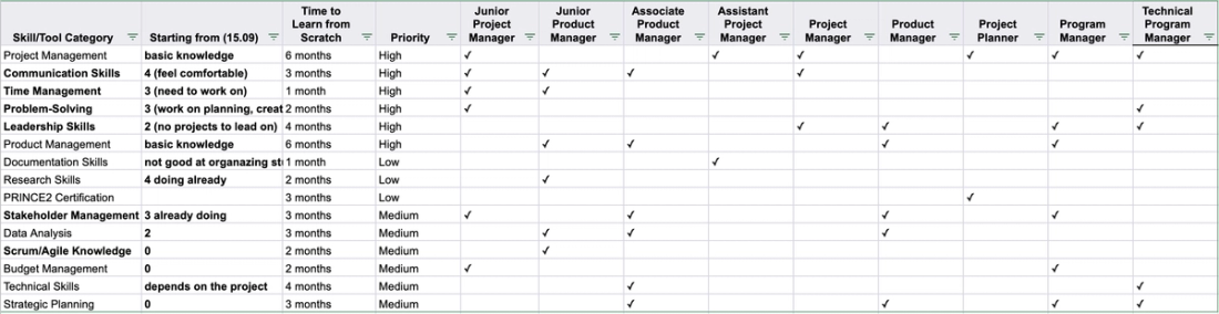PM skills matrix at MentorCruise