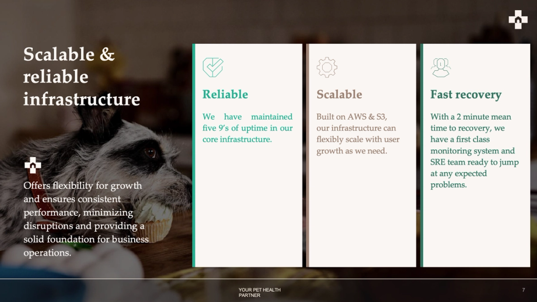Example 5-year vision & strategy at Fuzzy