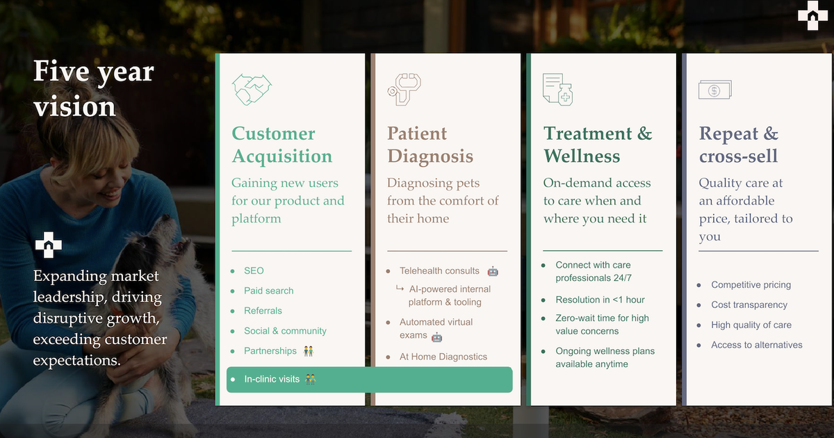 Example 5-year vision & strategy at Fuzzy