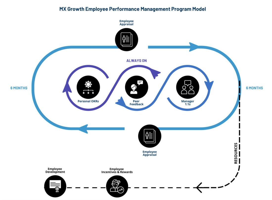 Growth employee performance management model