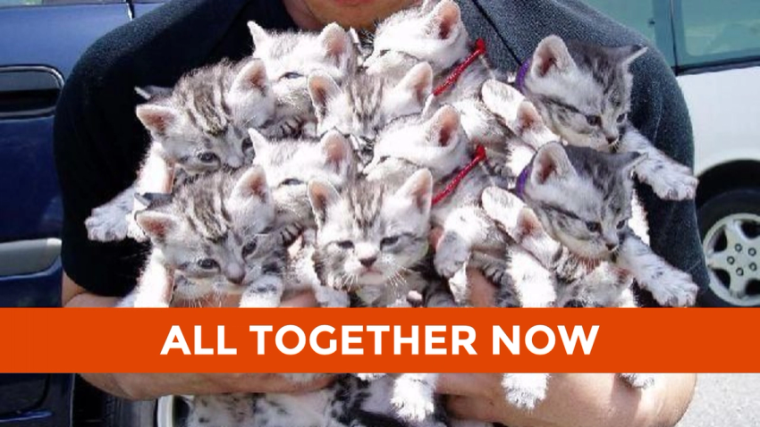 Marketecture and Product Packaging Presentation at TrueMotion