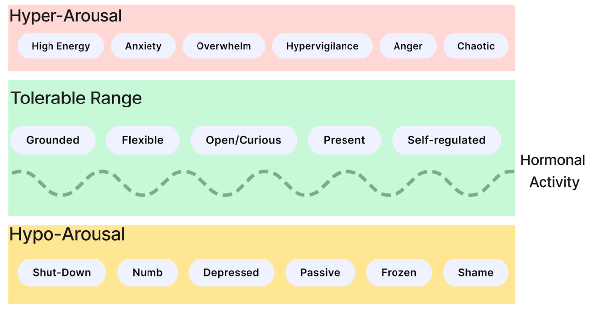 Master Your Mind: Navigating the Nervous System and Chronic Stress