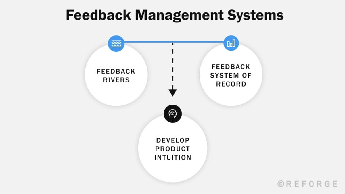 Case study: Notejoy feedback management systems