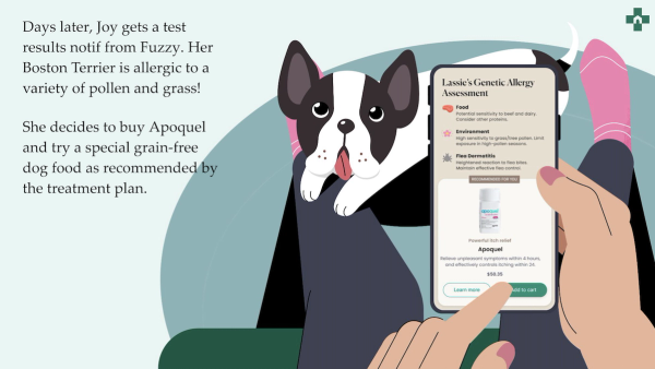 Example 5-year vision & strategy at Fuzzy