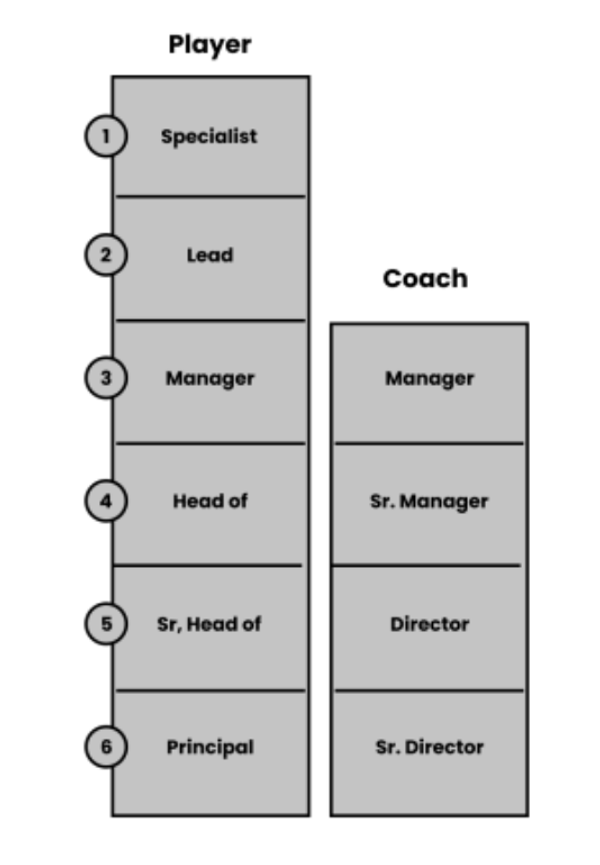 Marketing Career Framework Guide at Buffer