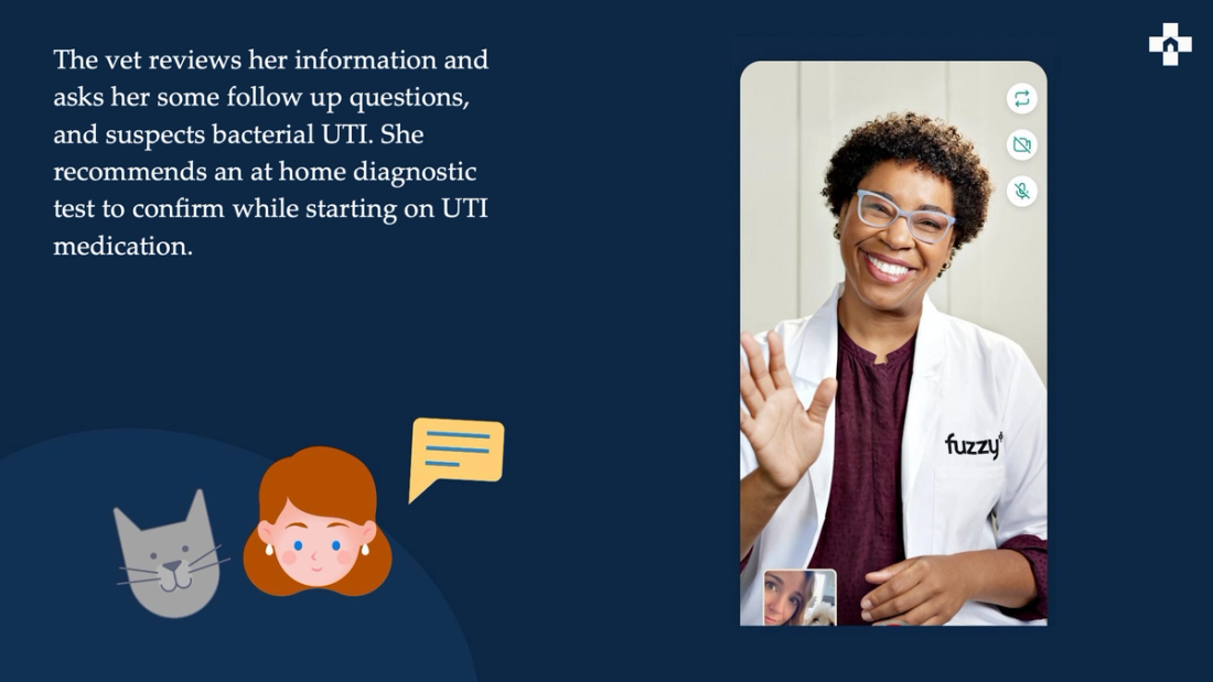 Vision stories at Fuzzy