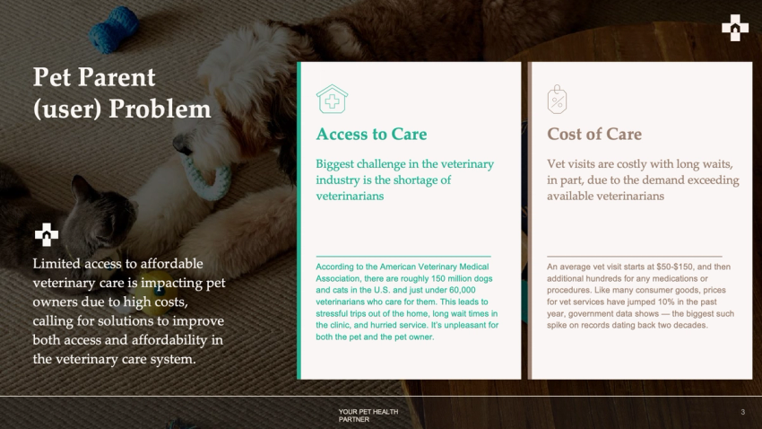 Example 5-year vision & strategy at Fuzzy