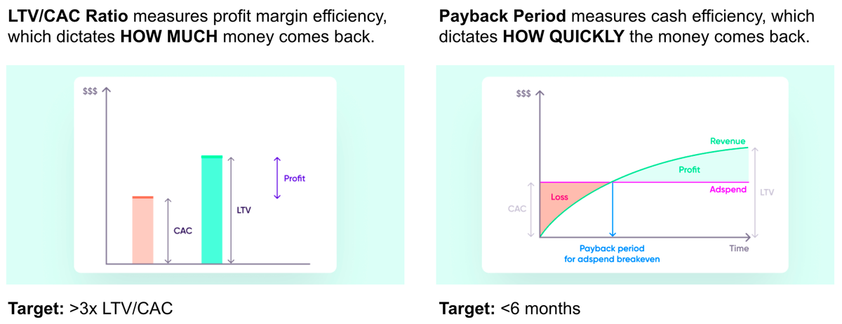 Calculate LTV/CAC and payback period