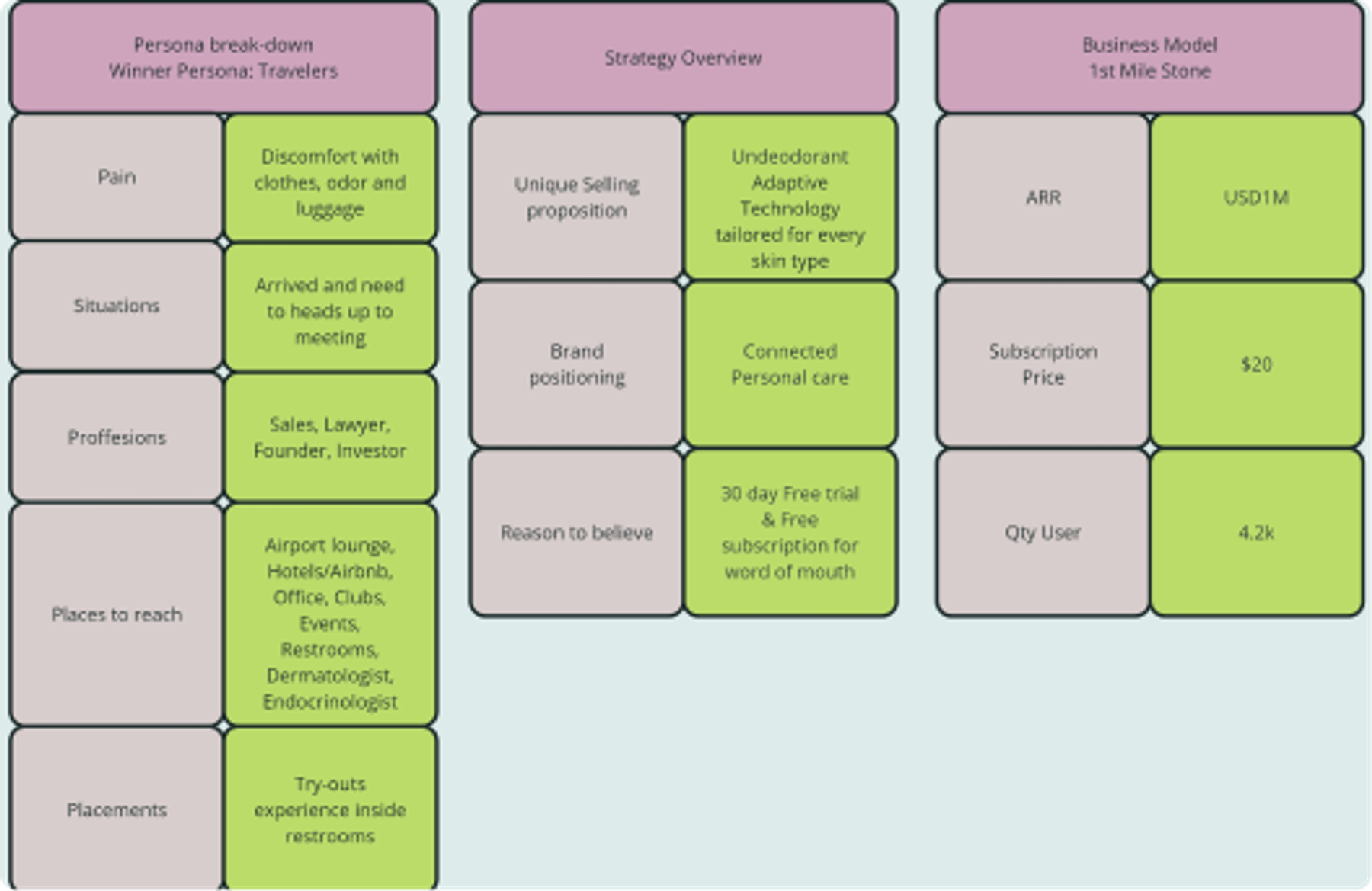 Persona-Based Product Positioning at Vndit