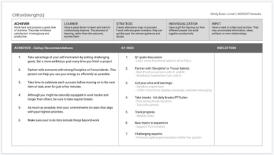 Personal strengths canvas from Shelly Eisen-Livneh