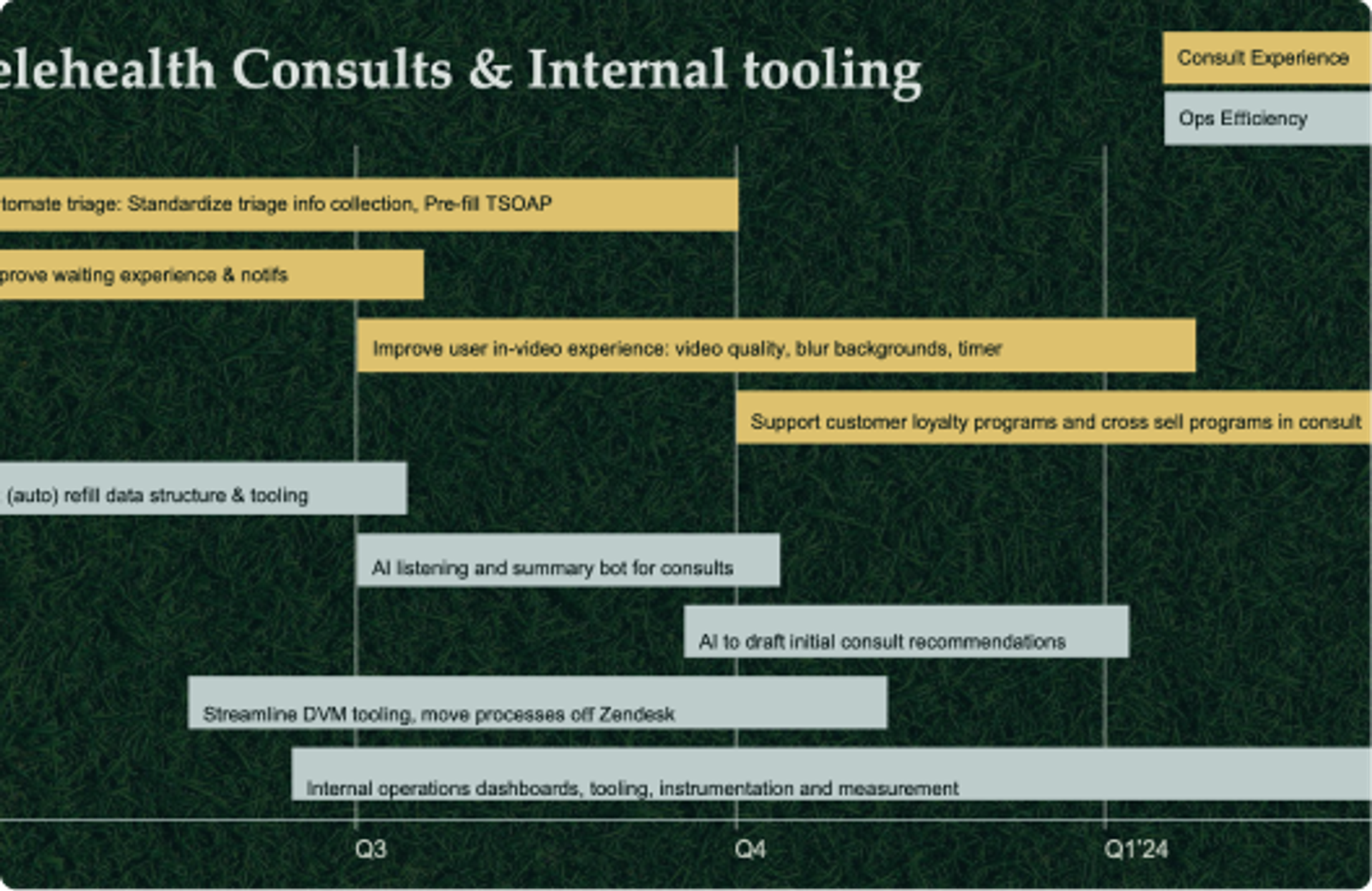Example 5-year vision & strategy at Fuzzy