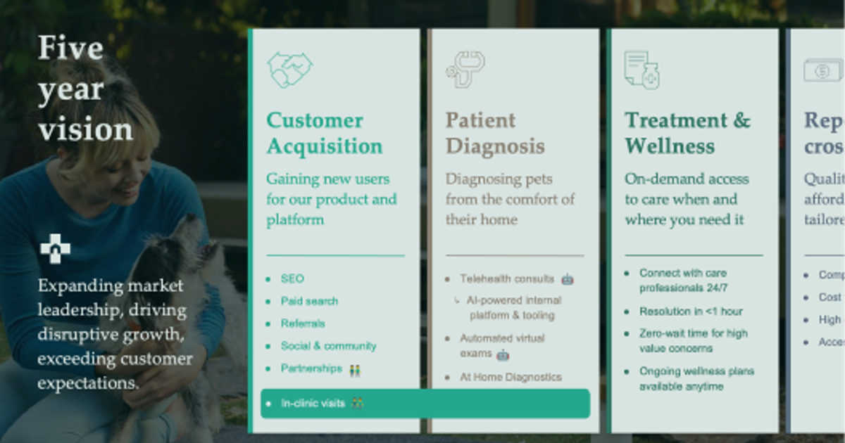 Example 5-year vision & strategy at Fuzzy