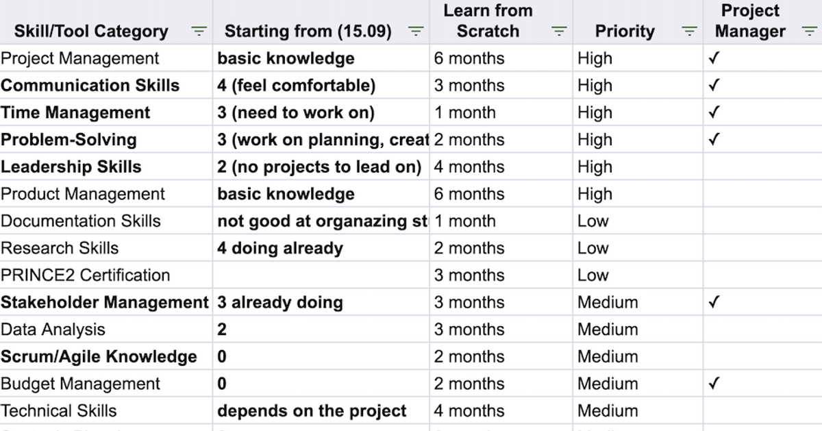 PM skills matrix at MentorCruise