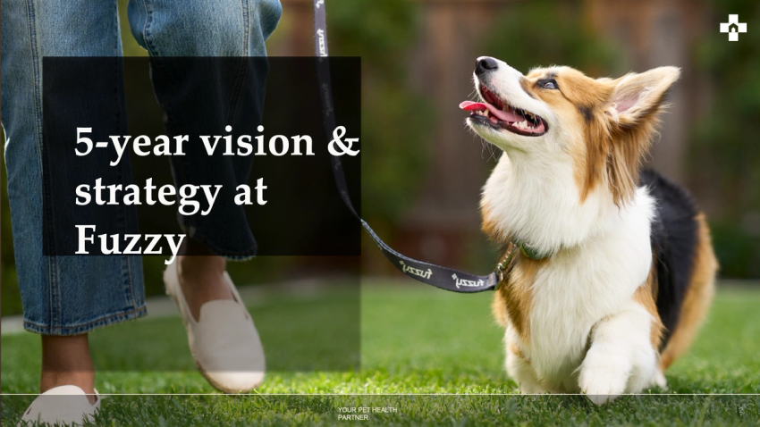 Example 5-year vision & strategy at Fuzzy