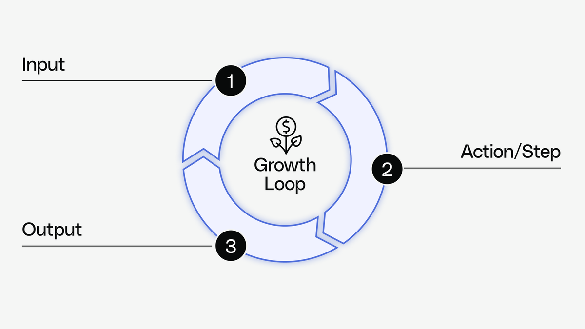 Define the properties of micro growth loops